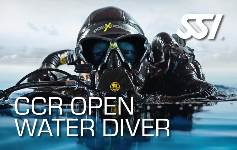 DIVE FOR FUN | Tauchen in Frankfurt