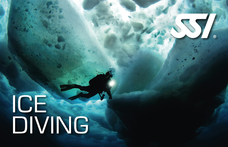 DIVE FOR FUN | Tauchen in Frankfurt