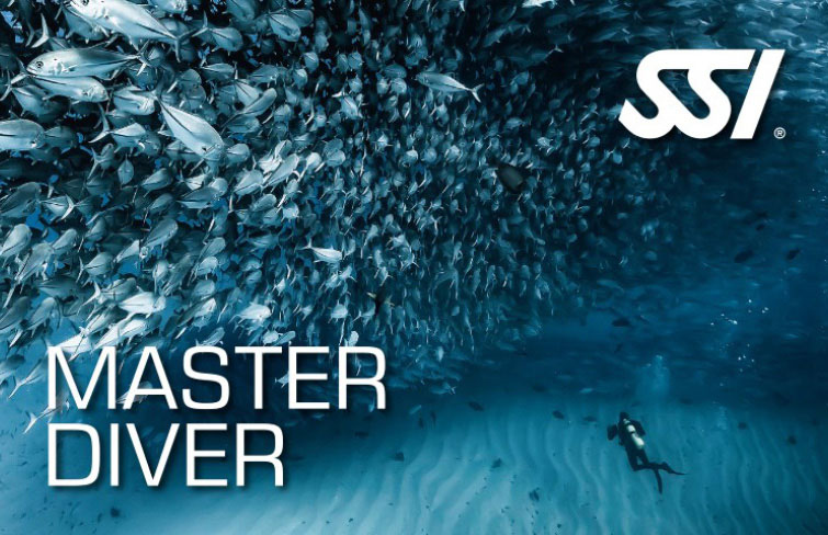 DIVE FOR FUN | Tauchen in Frankfurt