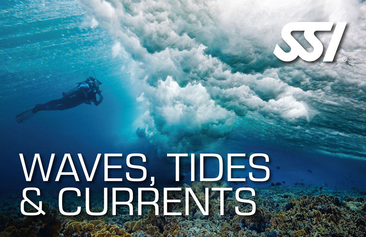 DIVE FOR FUN | Tauchen in Frankfurt